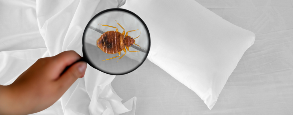 Home - A & J Pest Control